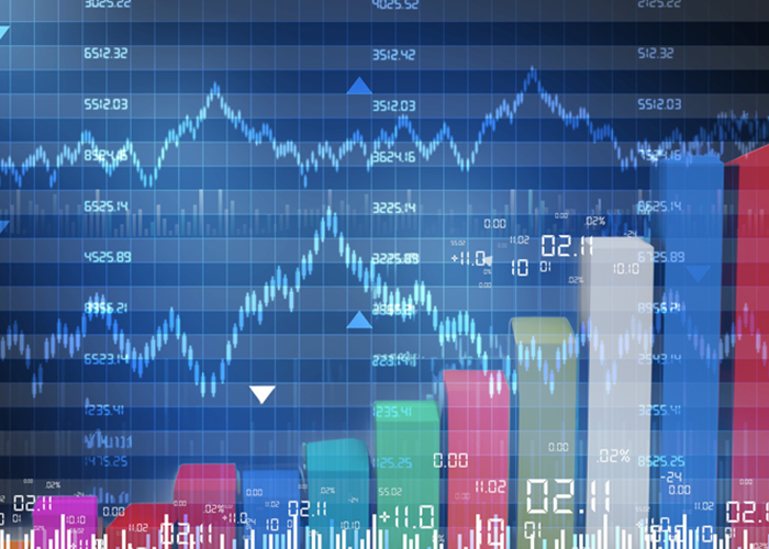 2025 Year End Data Issue | Asia Private Equity Centre Limited