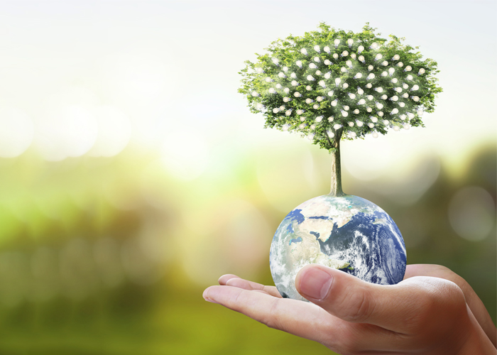 bp ventures et al to Produce Low-cost Green Hydrogen en masse | Asia ...